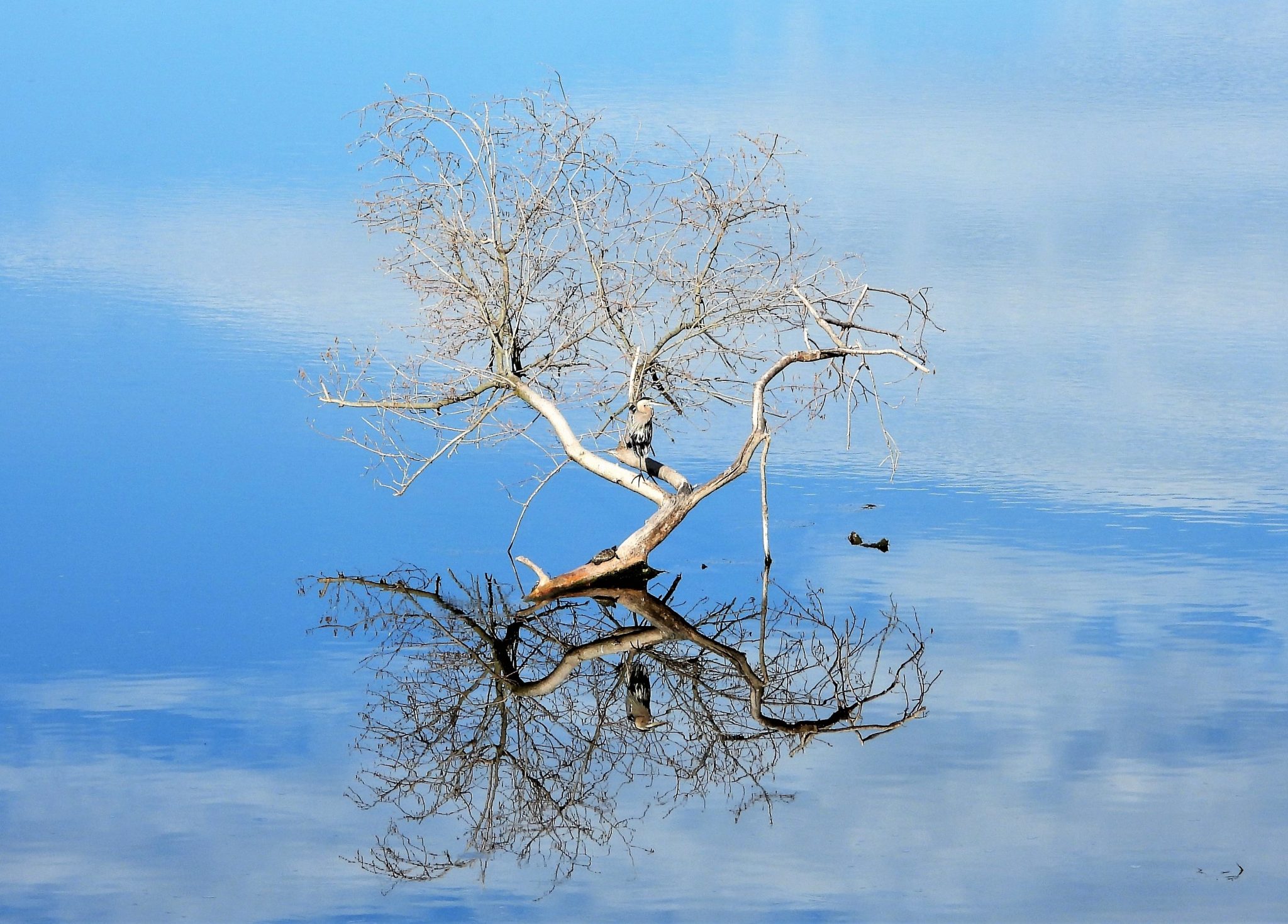Summer 2022 photo contest entries showcase the beauty of nature – Brant ...