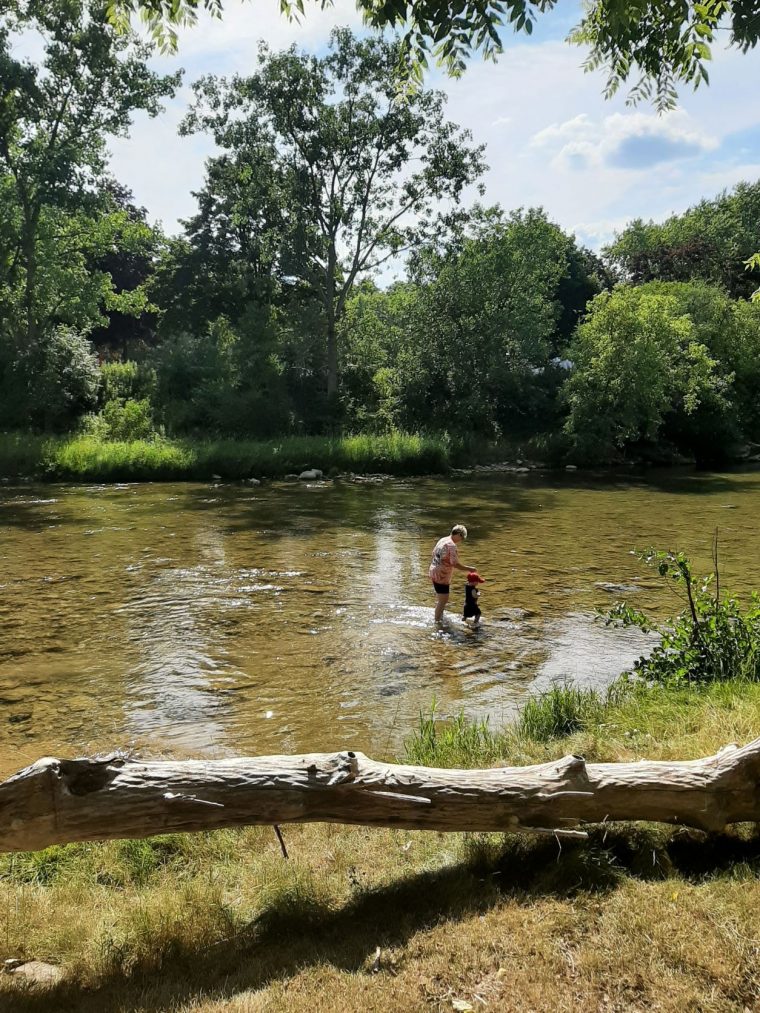 Summer 2022 photo contest entries showcase the beauty of nature – Brant ...